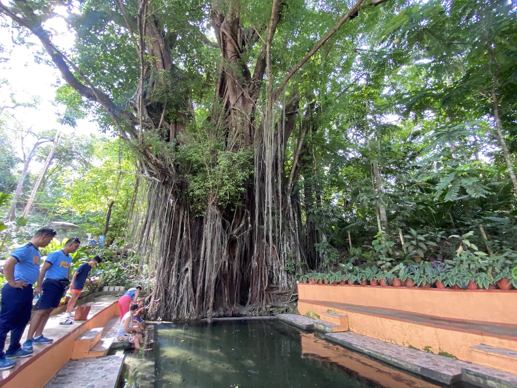 The complete guide to visiting Siquijor, the Philippines – In Search of ...