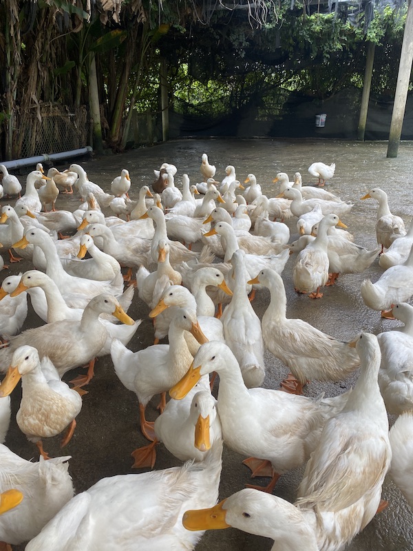 All you need to know about visiting Phong Nha, Vietnam